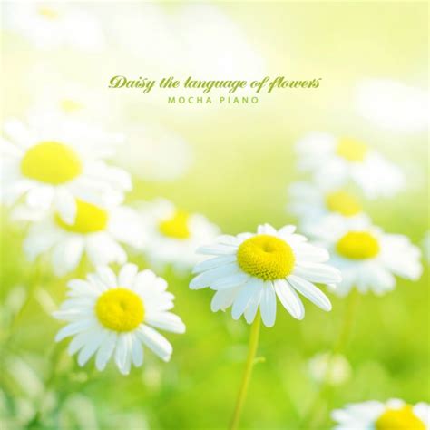 모카피아노 데이지 꽃말 Digital Single 2017