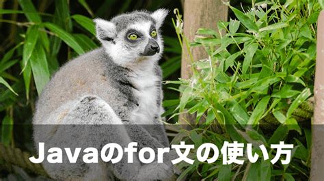 一通りまとめJavaの繰り返し文の使い方forやwhileやdo while