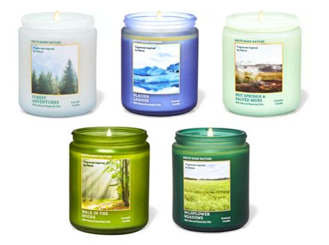 Do The Replicated Phytocides Truly Smell Like Nature R