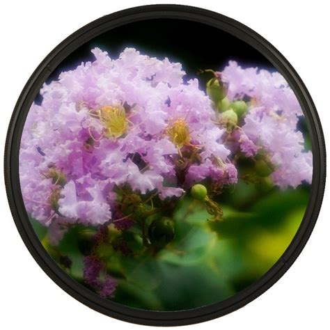 52mm Soft Focus Filter Uk Camera Equipment