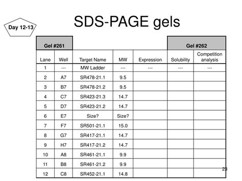 Ppt High Throughput Cloning And Expression Of Nesg Targets Powerpoint Presentation Id 4599467