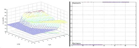 visualization of the svm results for identifying patients from