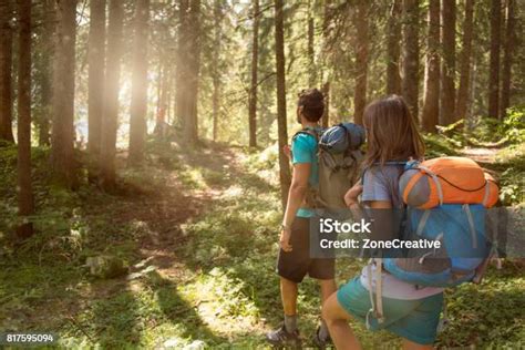화창한 날 동안 숲 숲에 가신 경로 하이킹에 걷는 배낭 남녀 친구 들 여름 모험 여행 산 자연 야외에서의 그룹 알프스 Dolomites 탐험 여행 남자에 대한 스톡 사진 및