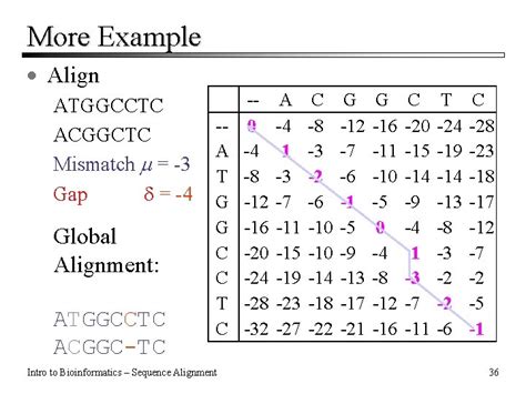 Introduction To Bioinformatics Sequence Alignments Sequence Alignments