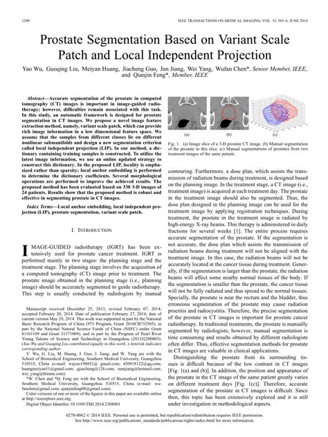 Pdf Prostate Segmentation Based On Variant Scale Patch And Local