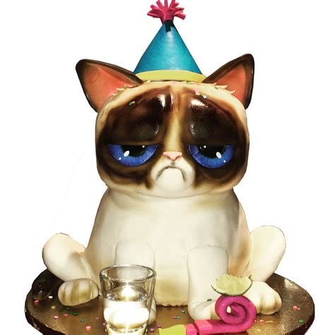 Ultimate Grumpy Kitty Cat