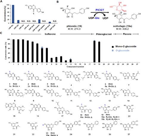 The Sugar Donor Selectivity And Substrate Promiscuity Of Plcgt A