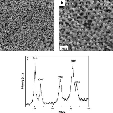 Fesem Micrographs Of The Nanoporous Gyroid Pt From The Ps Pt Gyroid Download Scientific Diagram