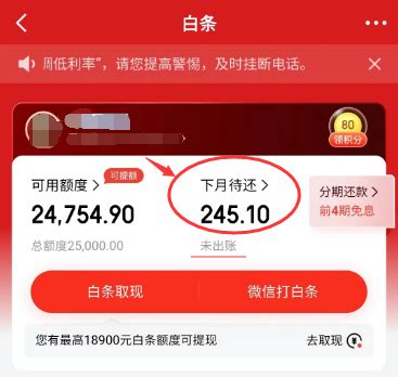 京东白条未出账怎么提前还全款 希财网