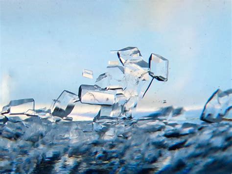 First Person Julie Frion Pmc