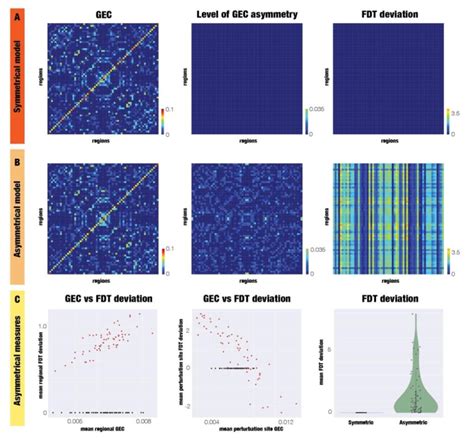 Whole Brain Models Show The Importance Of Asymmetric Coupling Compared Download Scientific Whole Brain Models Show The Importance Of Asymmetric Coupling Compared Download Scientific