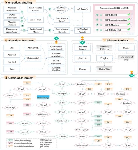 Oncopdss Workflow A Alteration Annotations Different Types Of