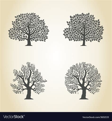 Oak Royalty Free Vector Image Vectorstock