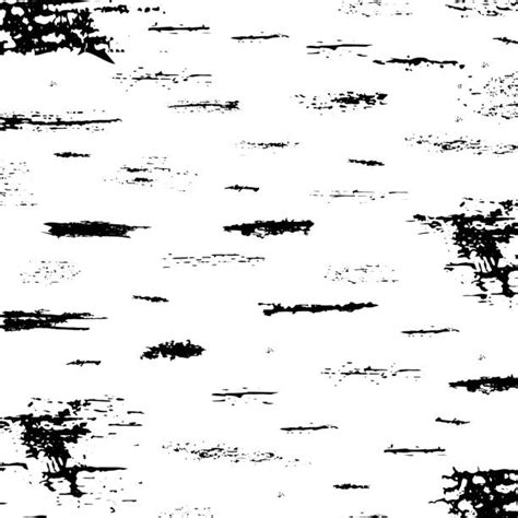 Birch Texture Illustrations Royalty Free Vector Graphics And Clip Art