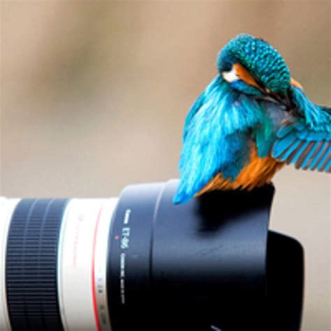 How To Calculate Surface Runoff From SCS CURVE Method ResearchGate