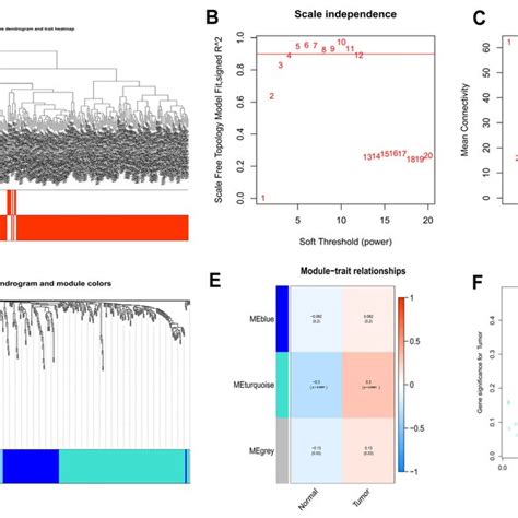 Wgcna Analysis Results Of 434 Deosgs A Clustering Dendrogram Of Hcc