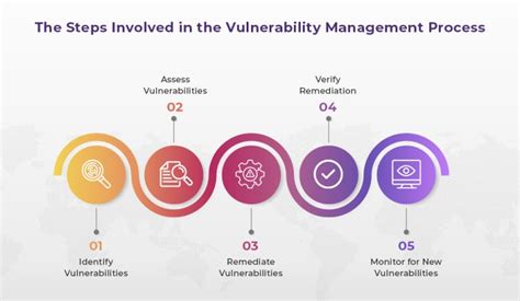 Vulnerability Management Process Guide