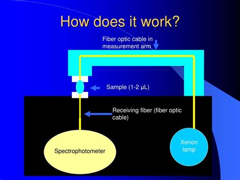 Ppt Quantifying Sample Dna Powerpoint Presentation Free Download Id 474312