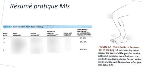 Pratique Mis Diagram Quizlet