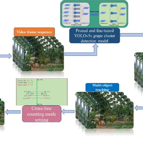 The Proposed Tracking And Counting Pipeline Based On Video Data