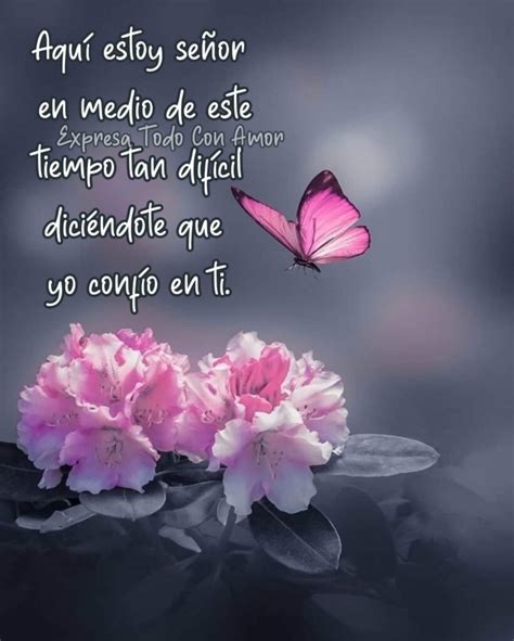 41 Frases Religiosas Bonitas Para Reflexionar