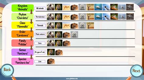Carl Linnaeus Ks2 Lesson Pack And Facts From Planbee