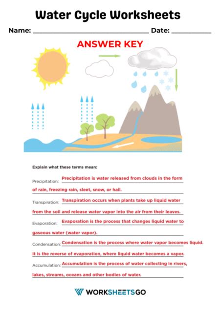 The Water Cycle Worksheets Worksheetsgo