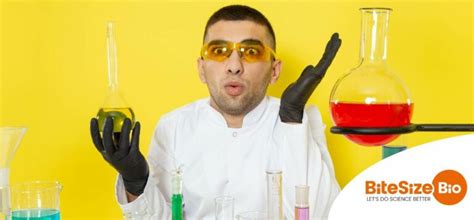 How Do Buffers Work An Easy Explaination For Biologists