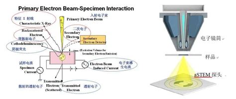 电镜知识点分享之stem（场发射扫描电子显微镜之扫描透射电子显微镜）简介及案例分析 知乎