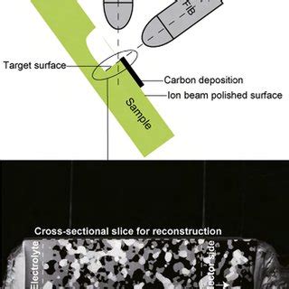 Schematic Diagram Of FIB SEM Setting Download Scientific Diagram