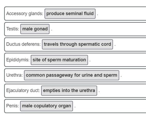 Lab Exam Flashcards Quizlet