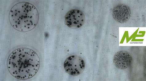 Spotting Human Cells Vrije University And M2 Automation Gmbh M2 Automation