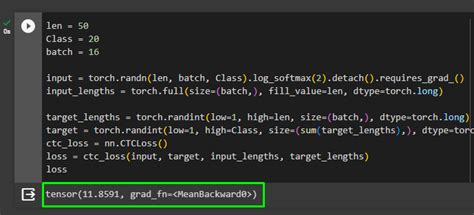 How To Calculate CTC Loss In PyTorch Liberian Geek