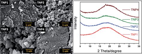 Triptycene Based 123 Triazole Linked Network Polymers Tnp S Small Gas Storage And