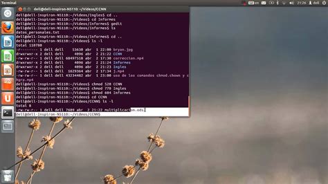 Uso De Los Comandos Chmodchown Y Chgrpmp4 Youtube