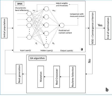 the structures of a back propagation neural network bpnn and b download scientific