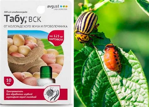 Табу от колорадского жука – эффективность и способ применения