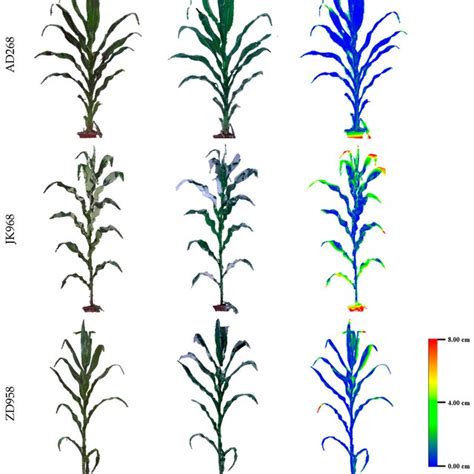 Pdf Maize Plant Phenotyping Comparing 3d Laser Scanning Multi View Stereo Reconstruction