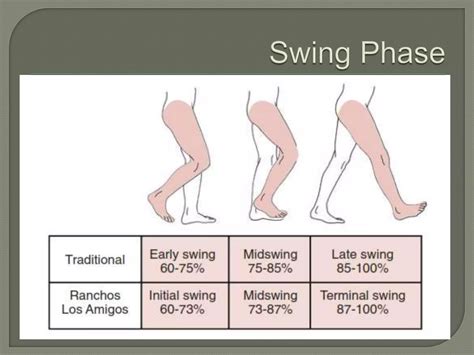 Gait Introduction Analysis Re Education Principles PPT