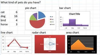 Lesson For Creating Charts In Excel By Amber Reinecke Tpt