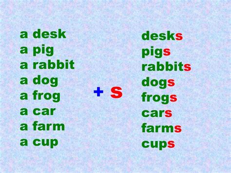 Картинки Множественное Число Существительных В Английском Языке — Фото Картинки