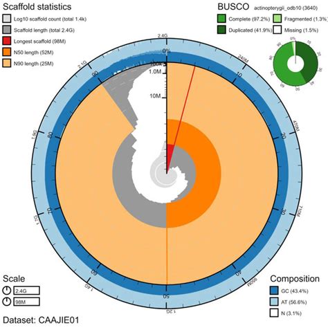 Genome Assembly Of Salmo Trutta Fsaltru11 Metrics The Blobtoolkit