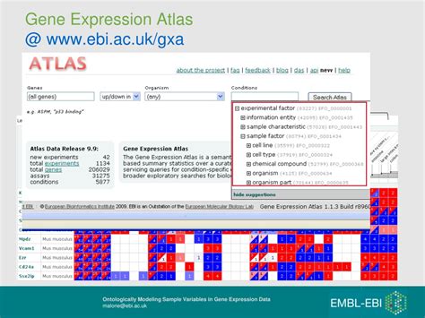 Ppt Ontologically Modeling Sample Variables In Gene Expression Data Powerpoint Presentation