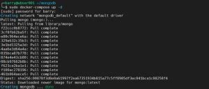 How To Run Mongodb As A Docker Container Bmc Software Blogs