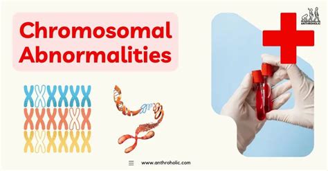 Chromosomal Abnormalities Causes And Effects