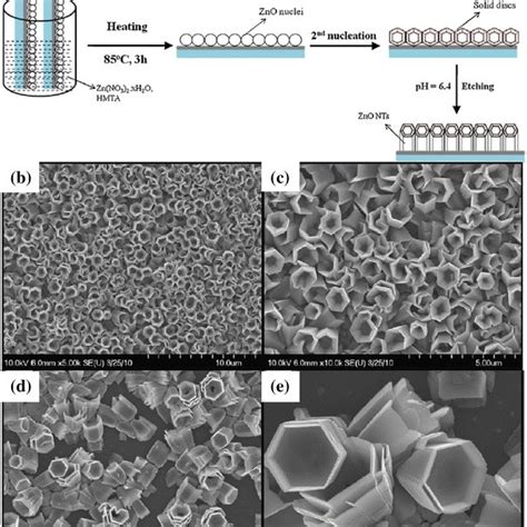 Schematic Representation Of The Working Principle Of Zno Based Dssc