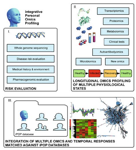 Ipop For Personalized Medicine The Framework Described In The Text