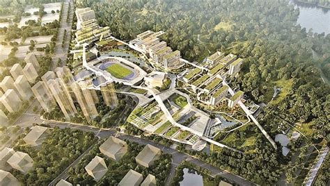 深圳理工大学建设工程项目招标 光明网