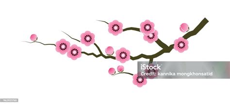 Sakura Branch With Pink Flowers Stock Illustration Download Image Now Art Beauty Blossom