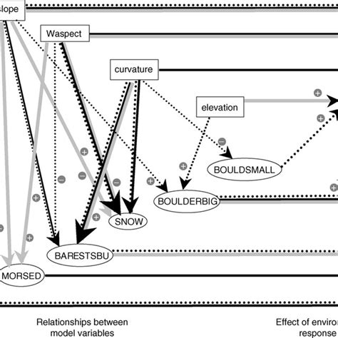 Conceptual Model Showing Relationships Between Model Variables And